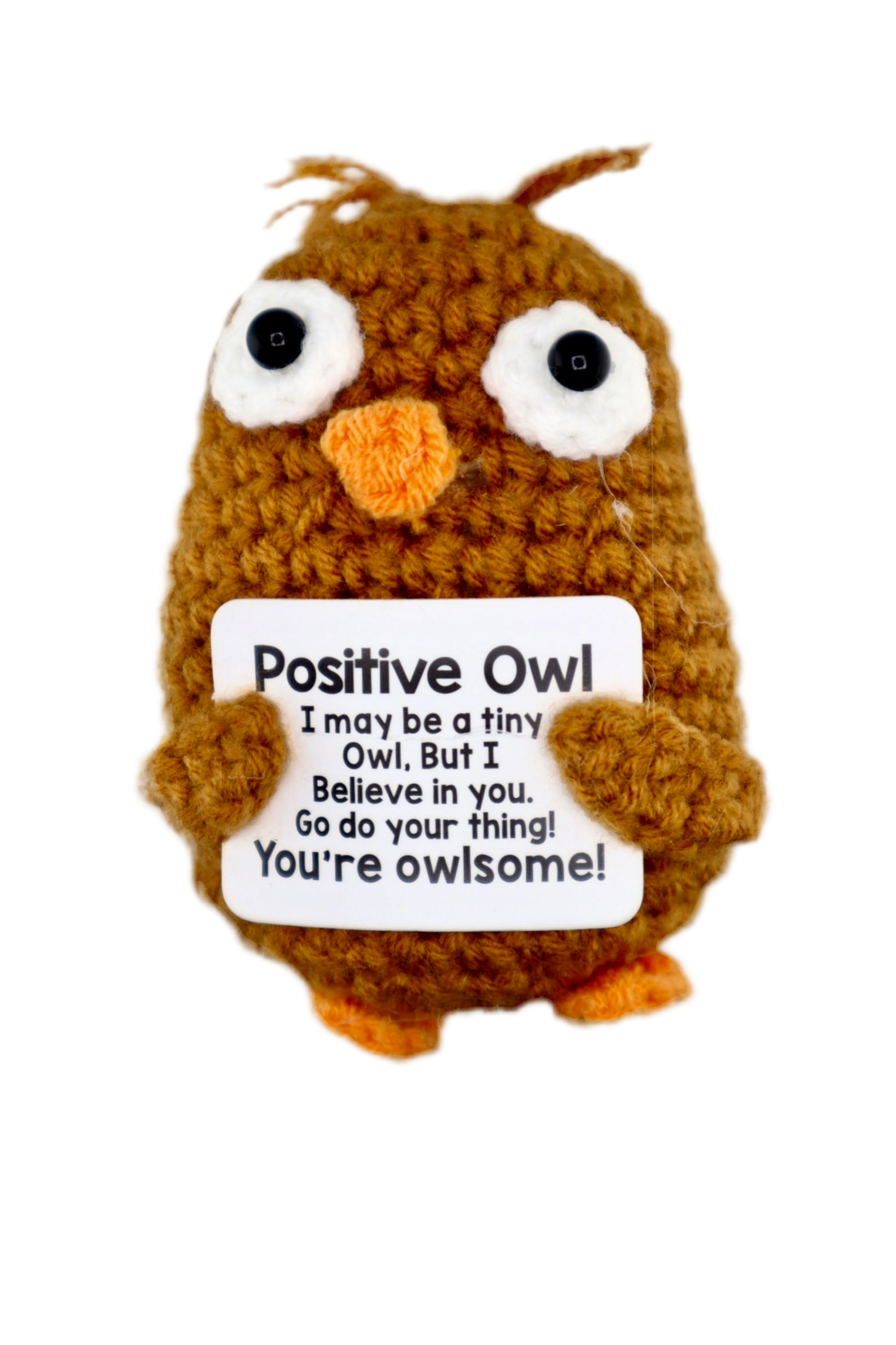 Positive Owl – The Gnome Garden