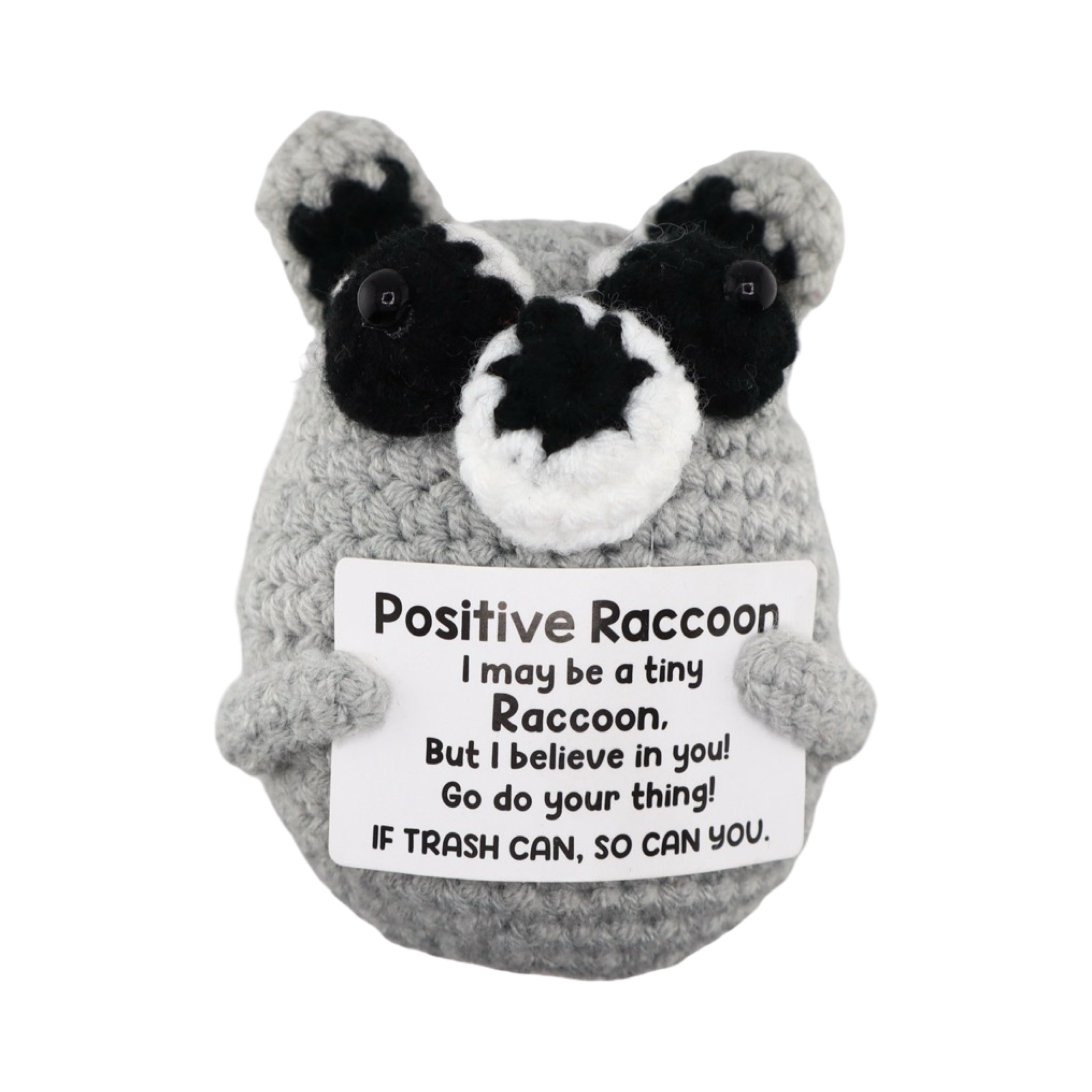 Positive Raccoon – The Gnome Garden