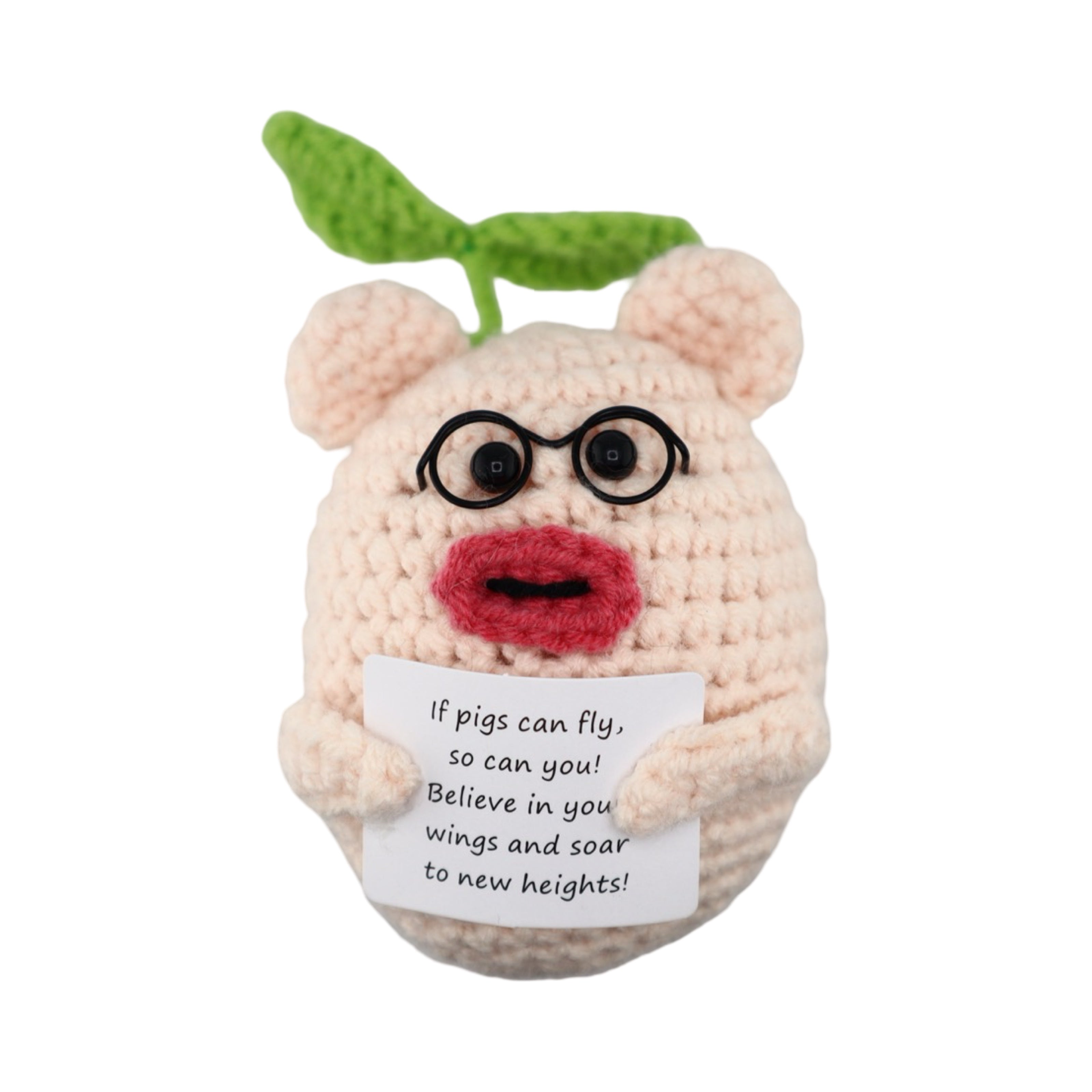 Positive Pig with Glasses – The Gnome Garden