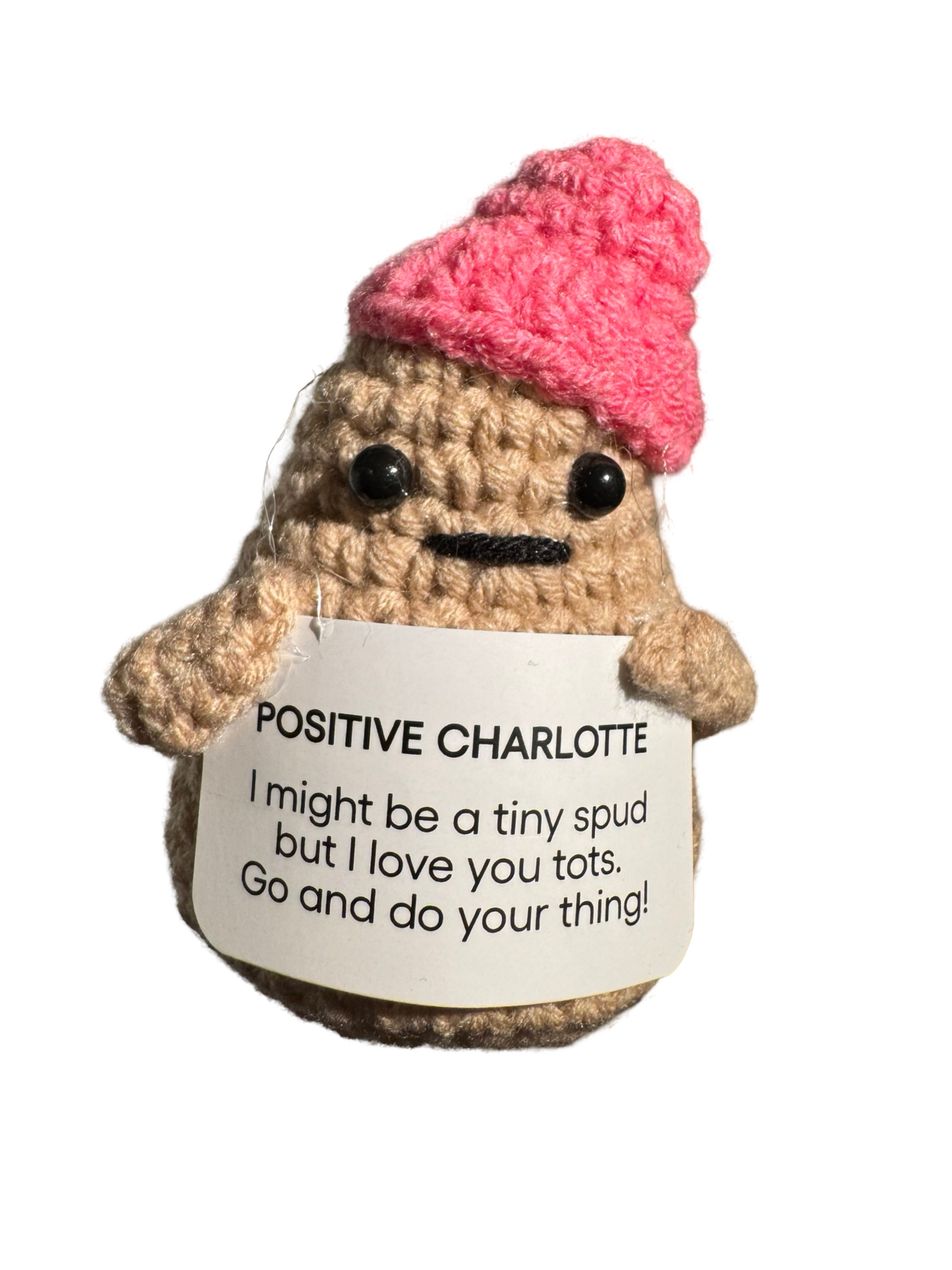 Positive Charlotte – The Gnome Garden