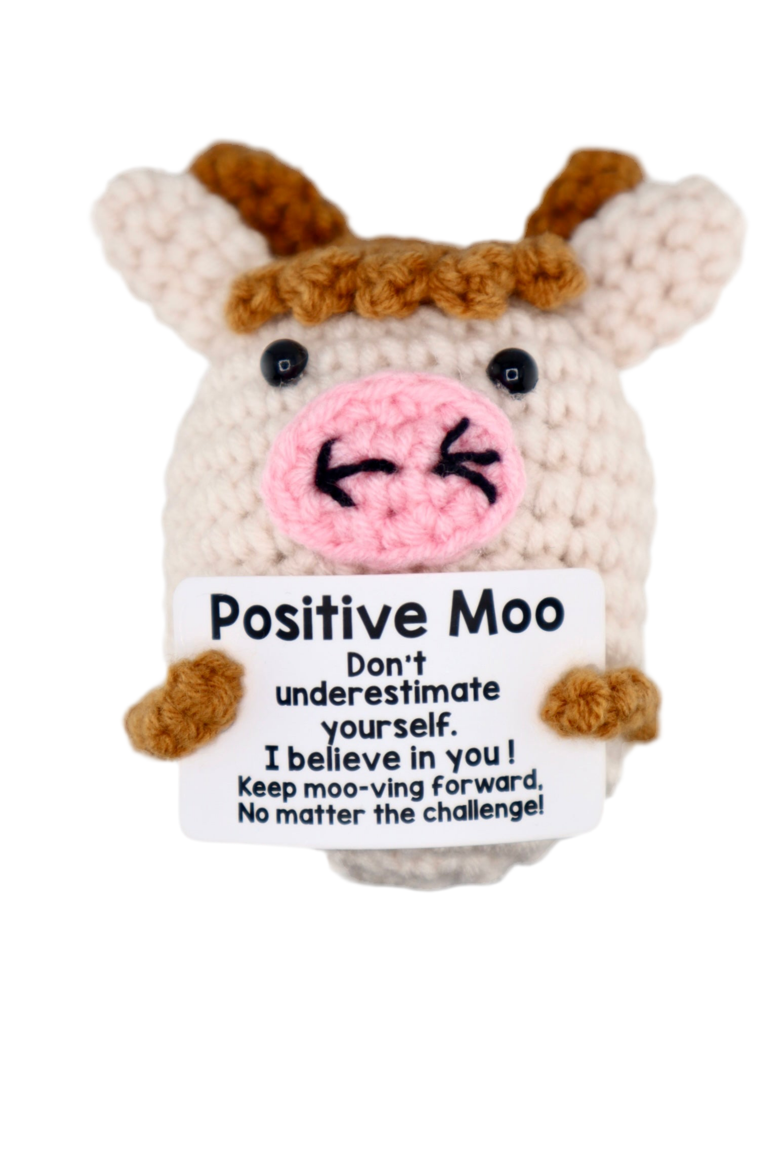 Positive Cow – The Gnome Garden